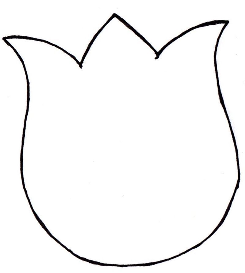 Les Tulipes En B tonnet